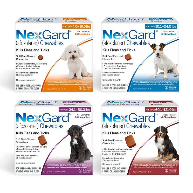 flea control tablets for dogs