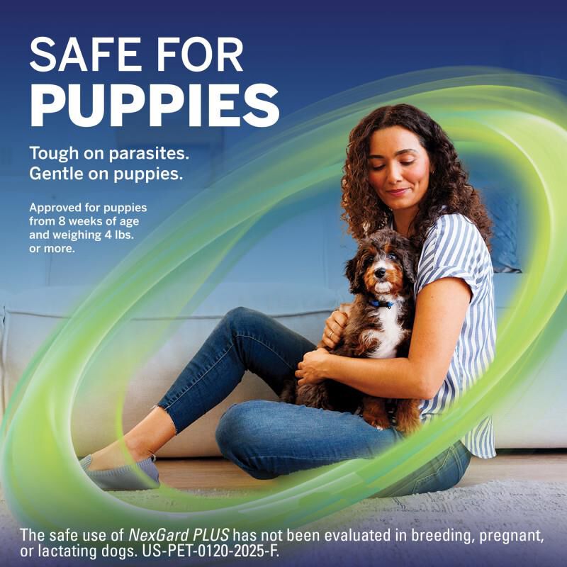 nexgard plus