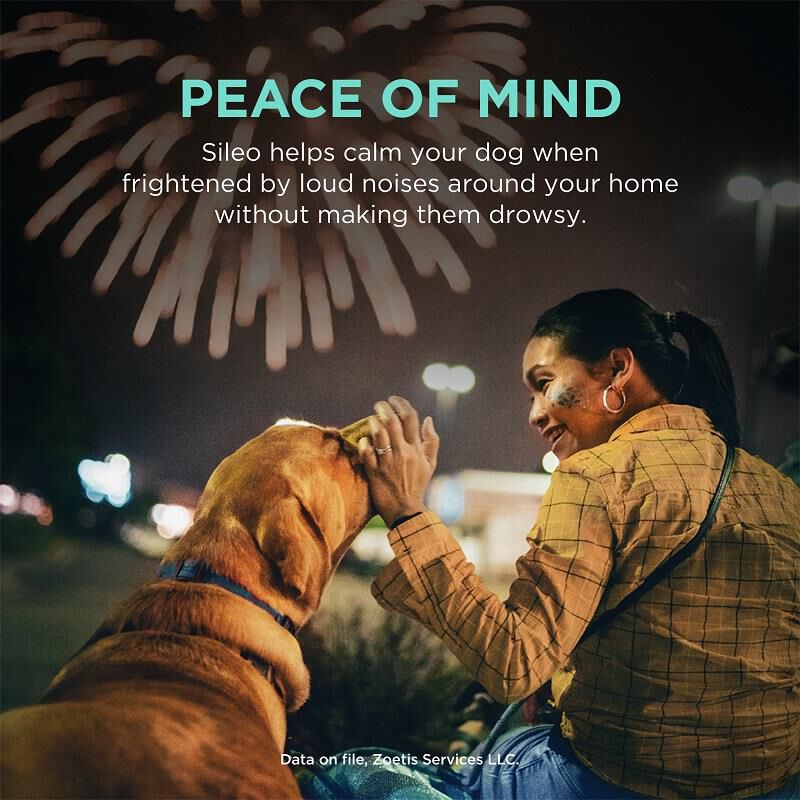 Sileo Gel For Dogs | Giant Eagle Pet Pharmacy