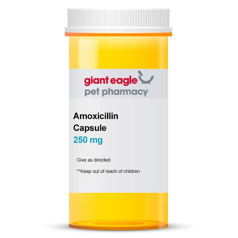 Amoxicillin Capsules | Giant Eagle Pet Pharmacy