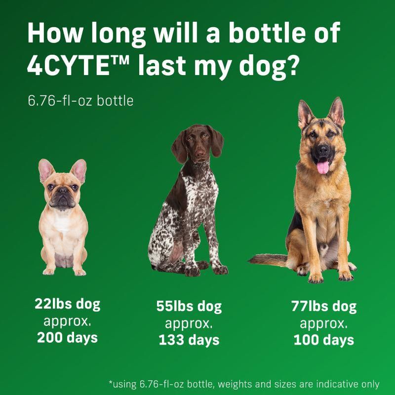 4CYTE Epiitalis Forte Gel Joint Supplement for Dogs