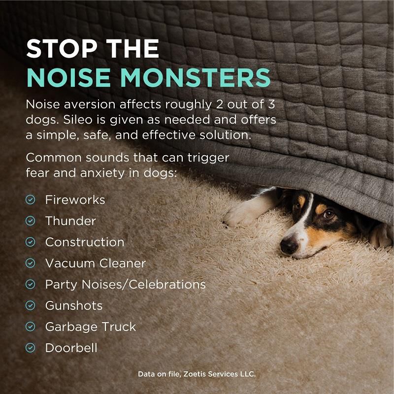 Sileo Gel For Dogs | Giant Eagle Pet Pharmacy