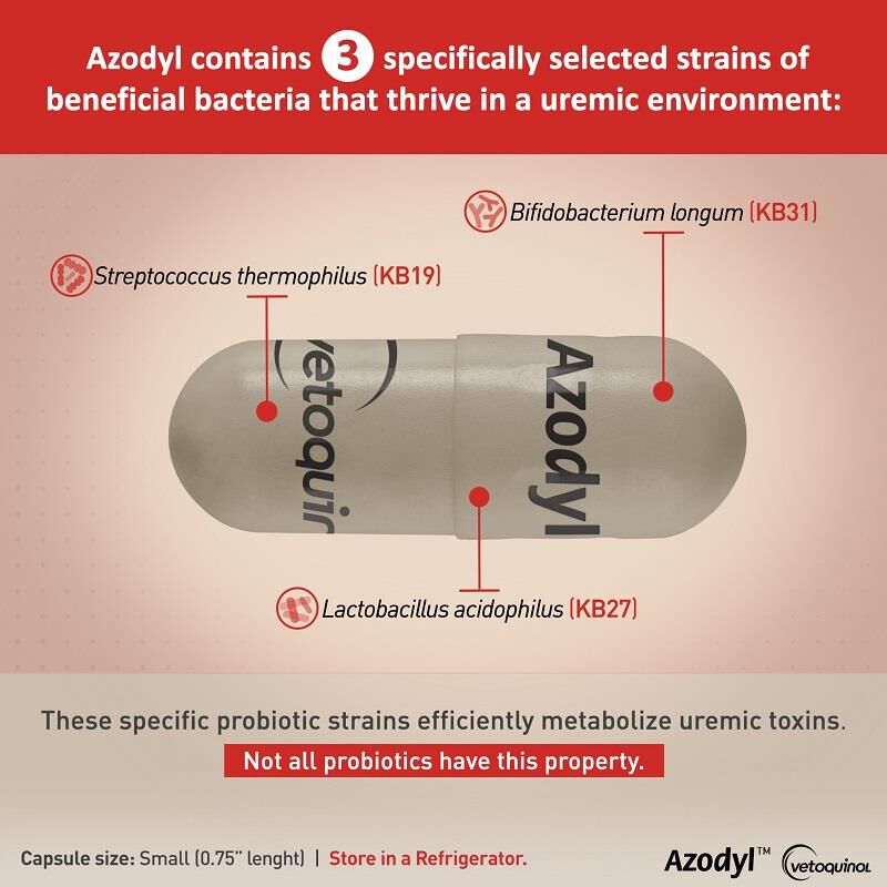 Azodyl Small Caps 90 Ct For Dogs & Cats | Giant Eagle Pet Pharmacy