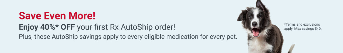 Get Neo Poly Dex Ophthalmic Ointment, 3.5 g for Eye Infection | Giant ...